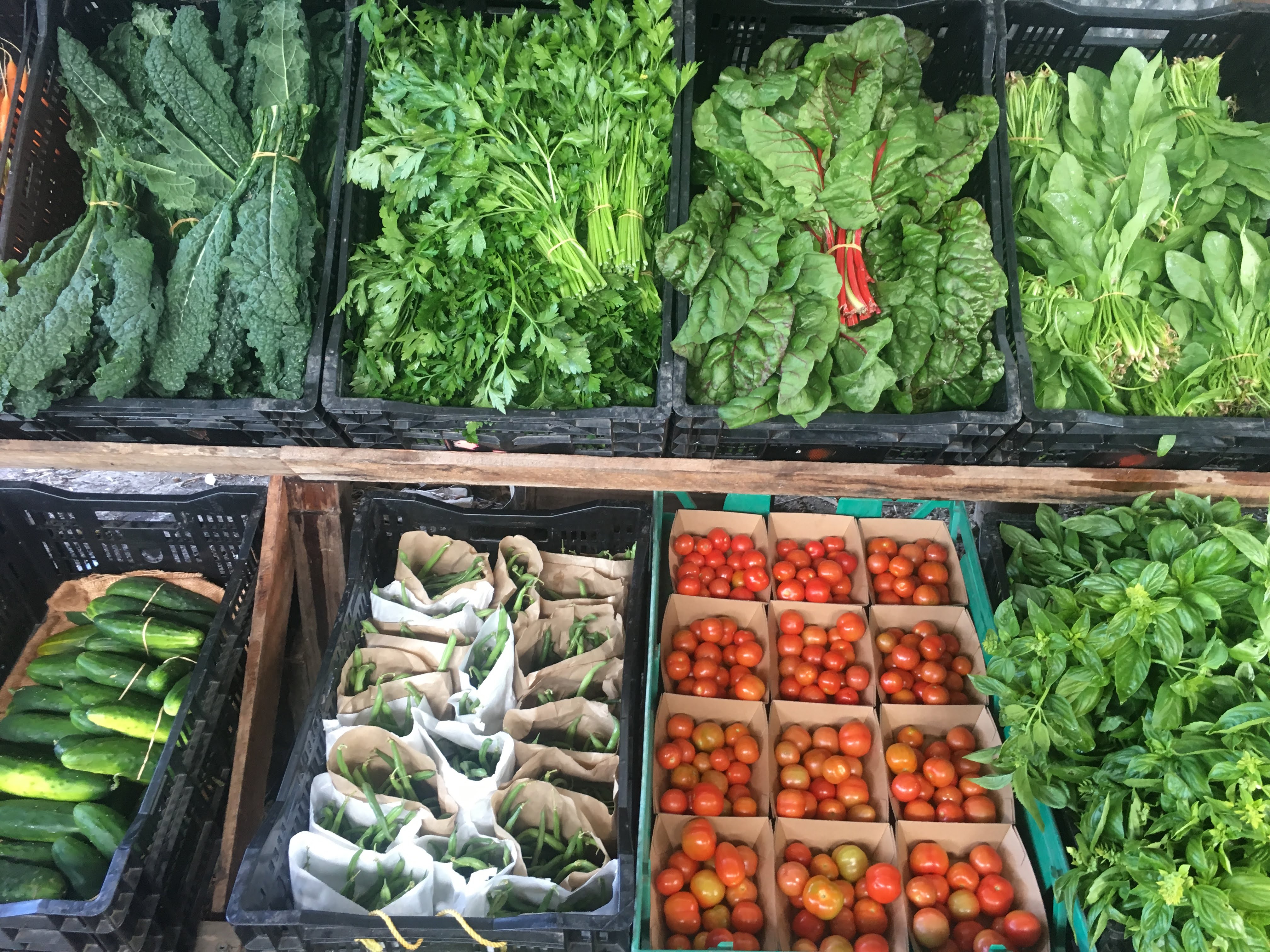 North Arm Farms – The Mandarin Bend