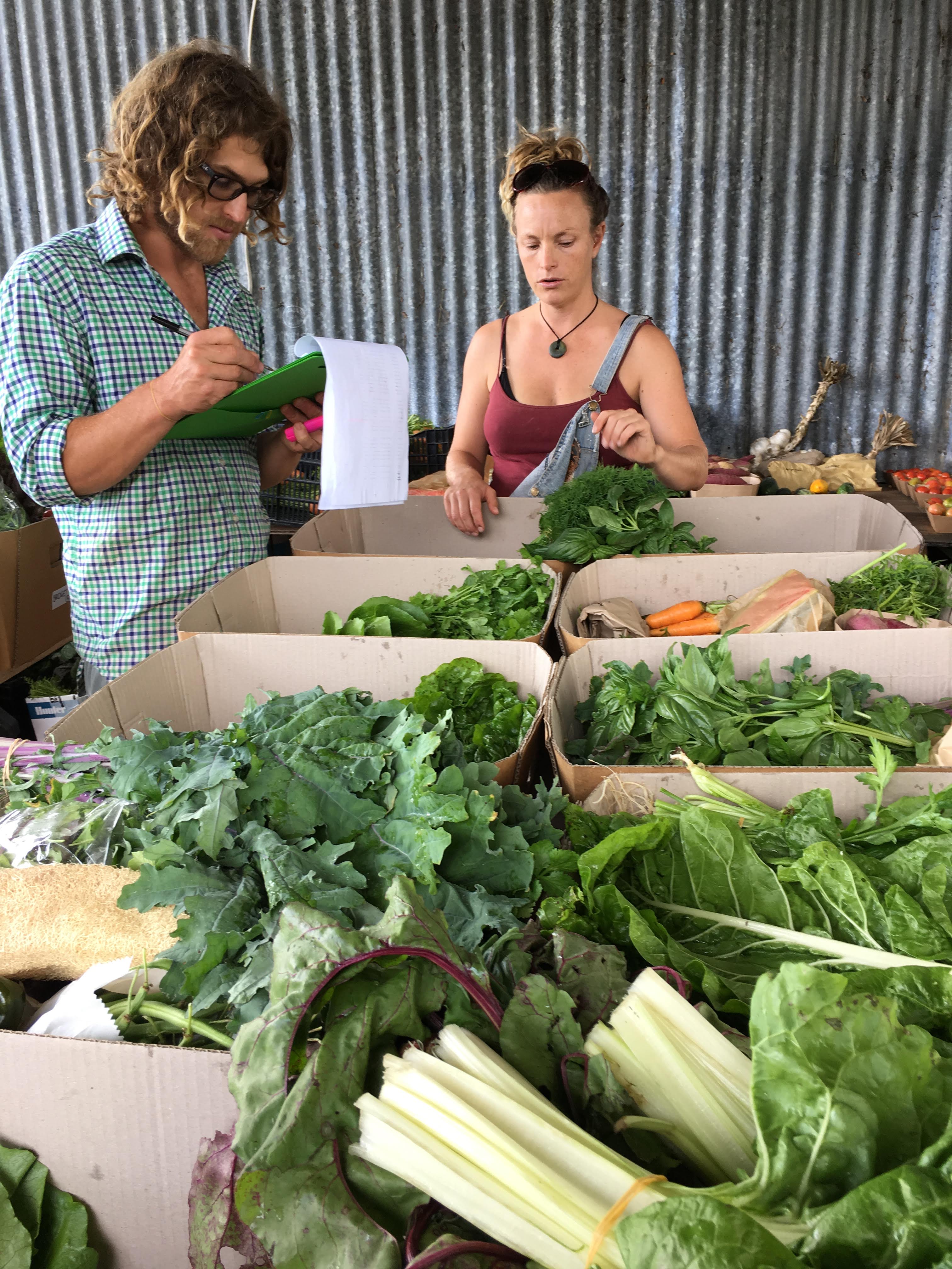 North Arm Farms – The Mandarin Bend